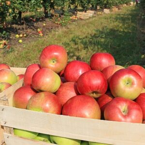 Agro-K - Science Driven Nutrition